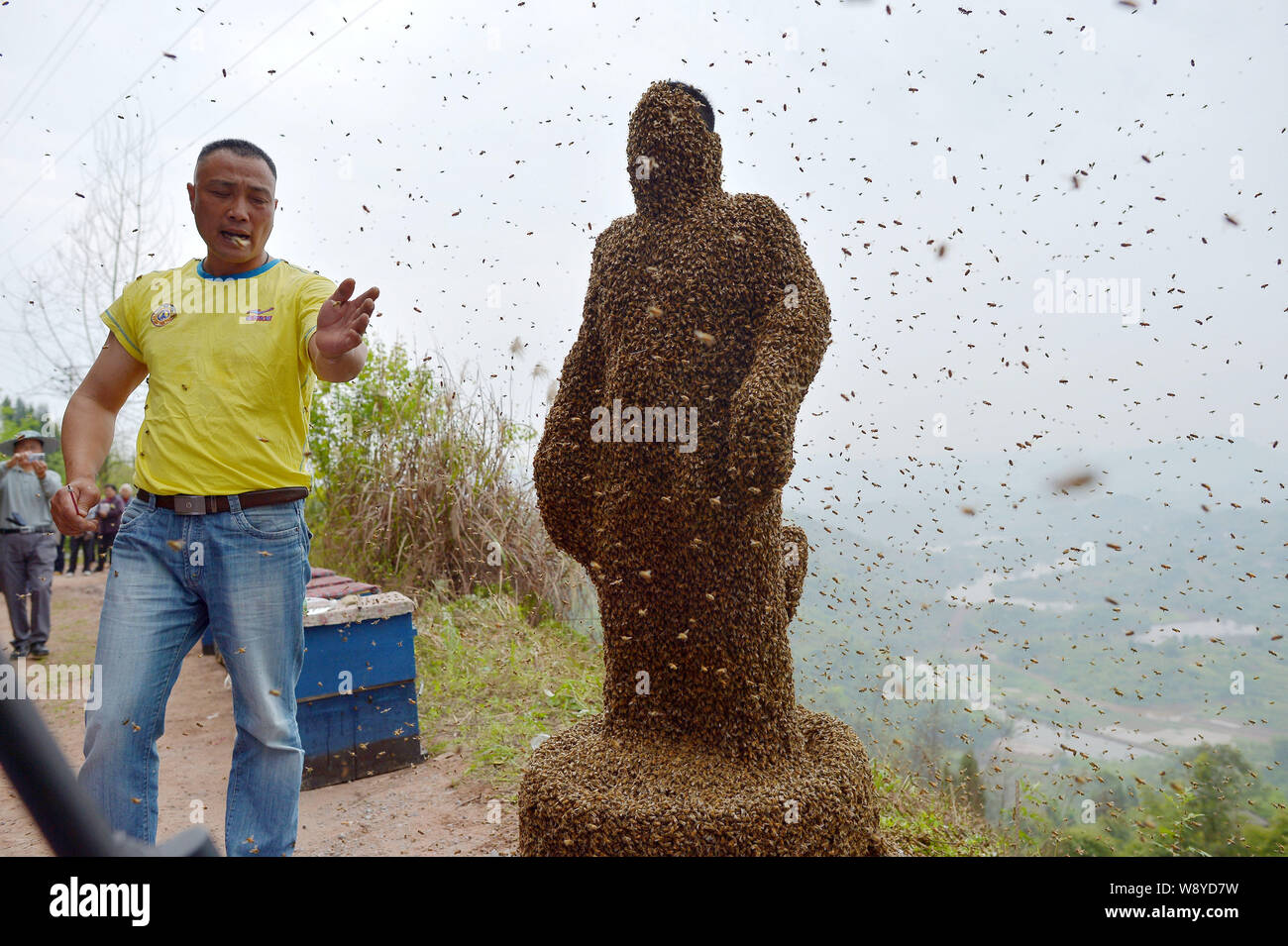 34-year-old Chinese beekeeper She Ping, right, is covered with bees all ...