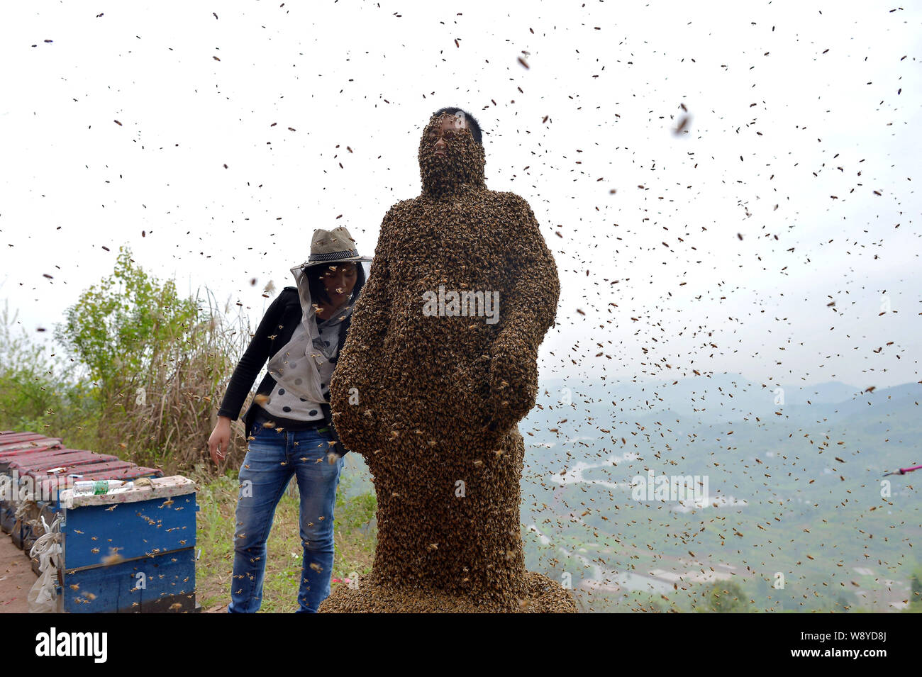 34-year-old Chinese beekeeper She Ping is almost covered with bees all ...