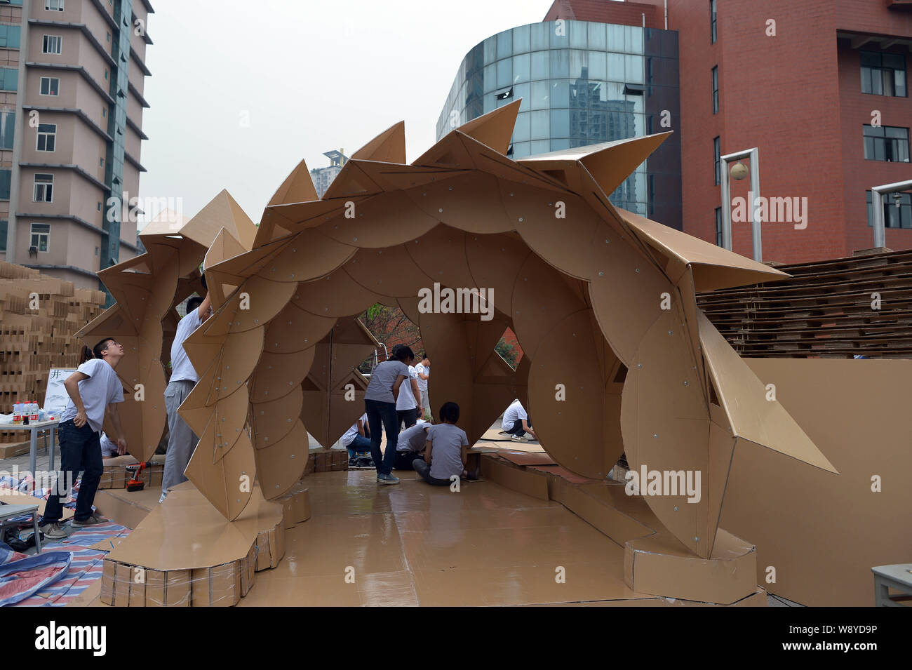 Chinese students build their paper house at the campus of Chongqing ...