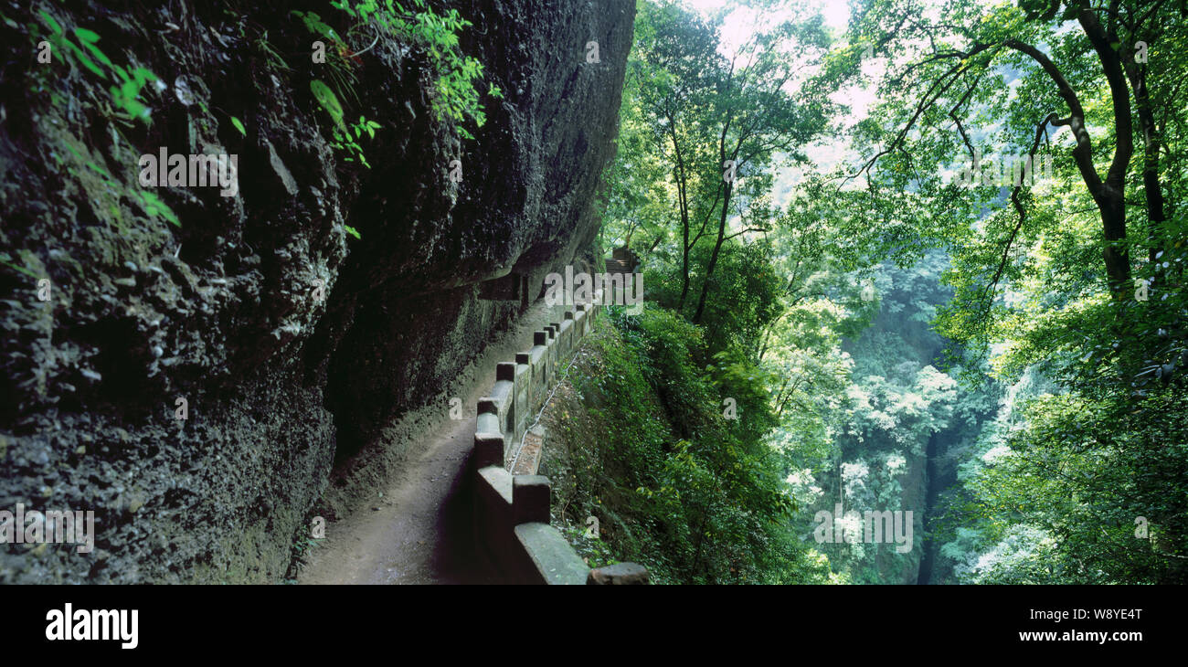 View of a path at Mount Qingcheng in Dujiangyan city, southwest Chinas ...
