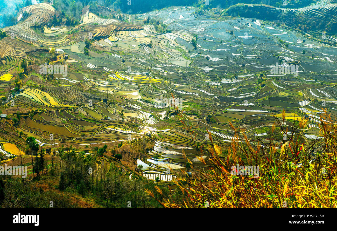 Landscape of terraced rice fields of the Honghe Hani Rice Terraces, one ...