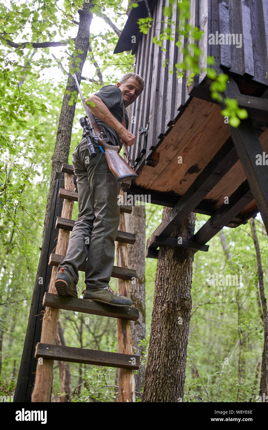 Game ranger with gun at the feeding spot for wild animals Stock Photo ...
