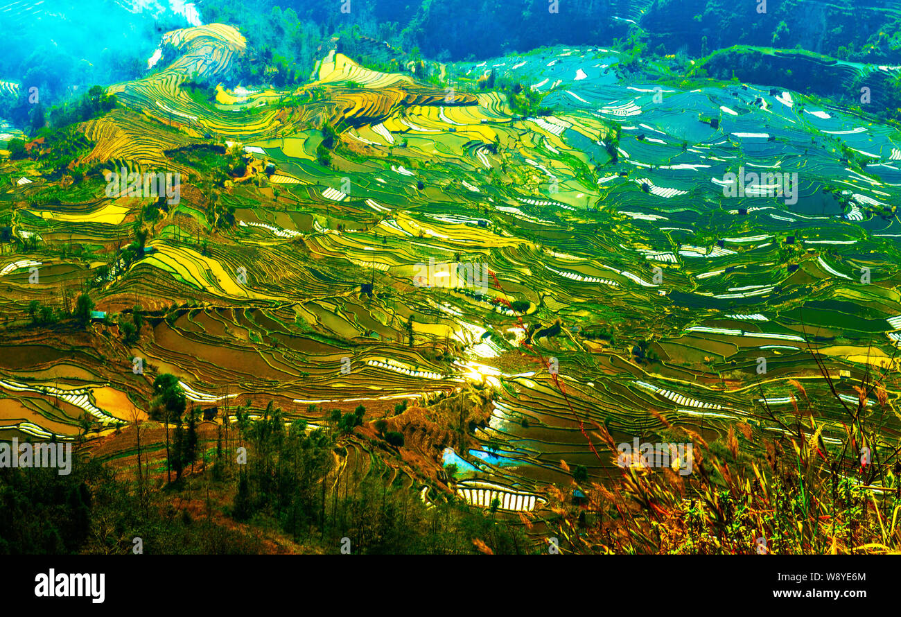 Landscape of terraced rice fields of the Honghe Hani Rice Terraces, one ...