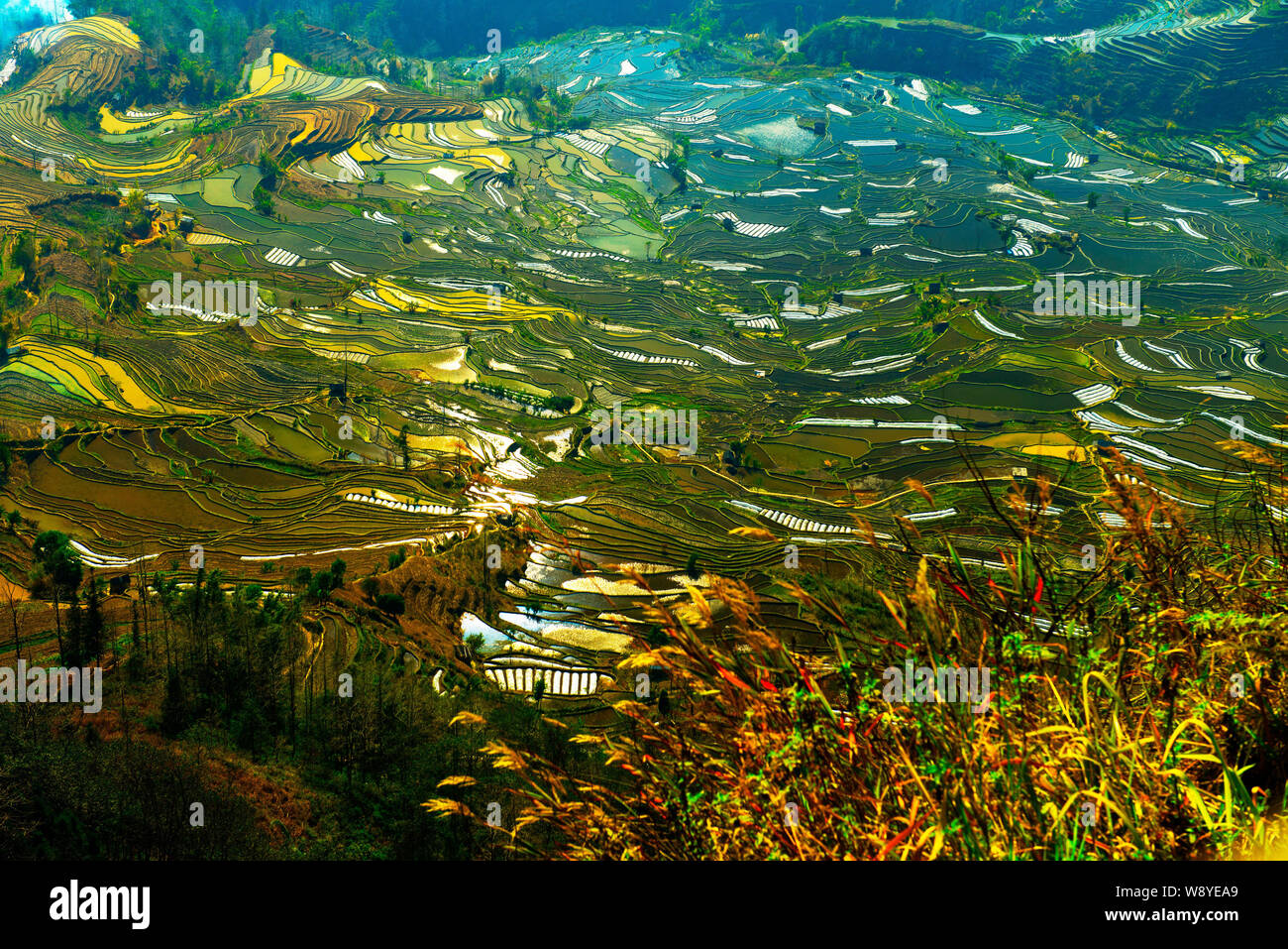 Landscape of terraced rice fields of the Honghe Hani Rice Terraces, one ...
