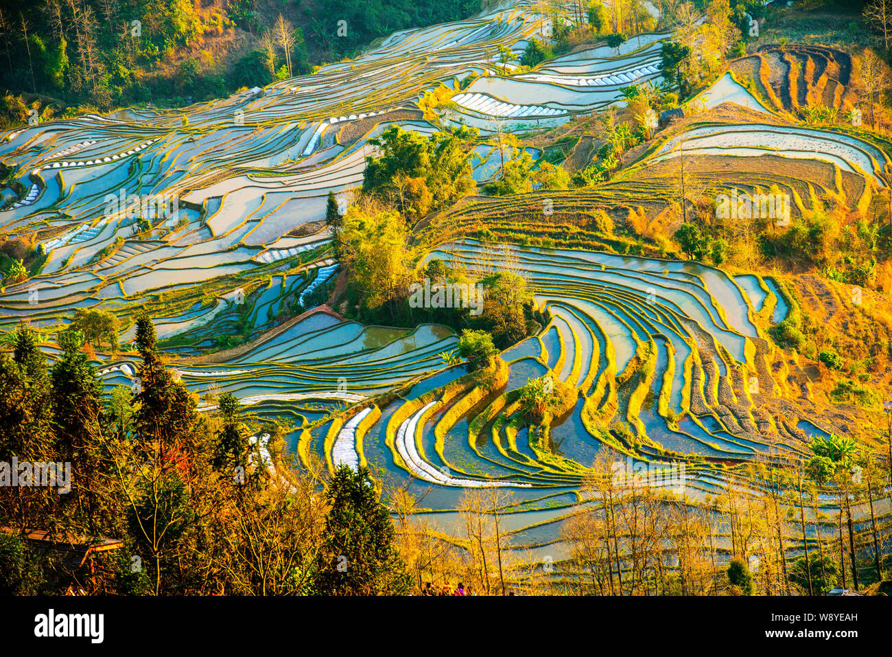 Landscape of terraced rice fields of the Honghe Hani Rice Terraces, one ...