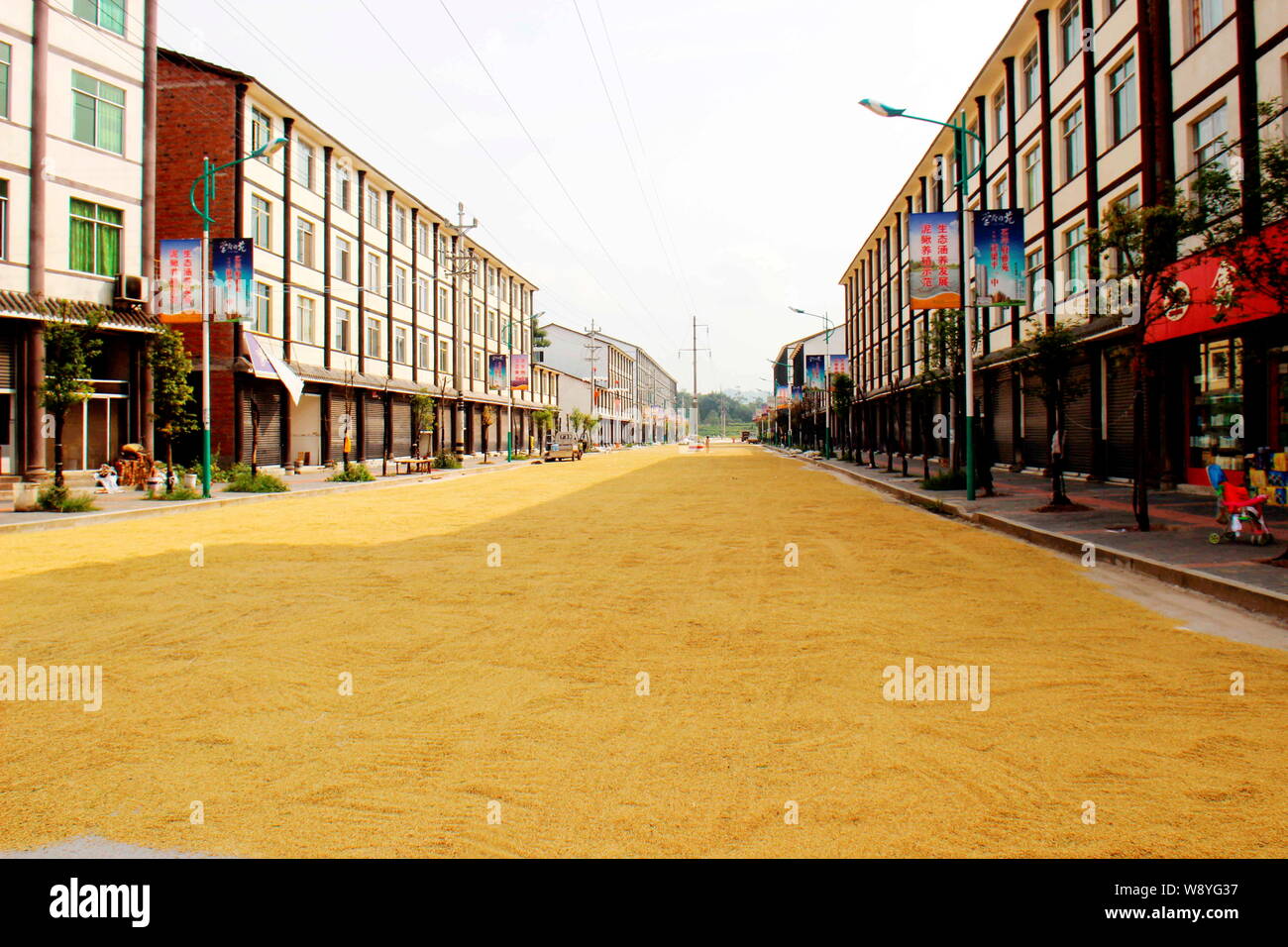 A road is covered with rice in Mingda town, Liangping county, Chongqing ...