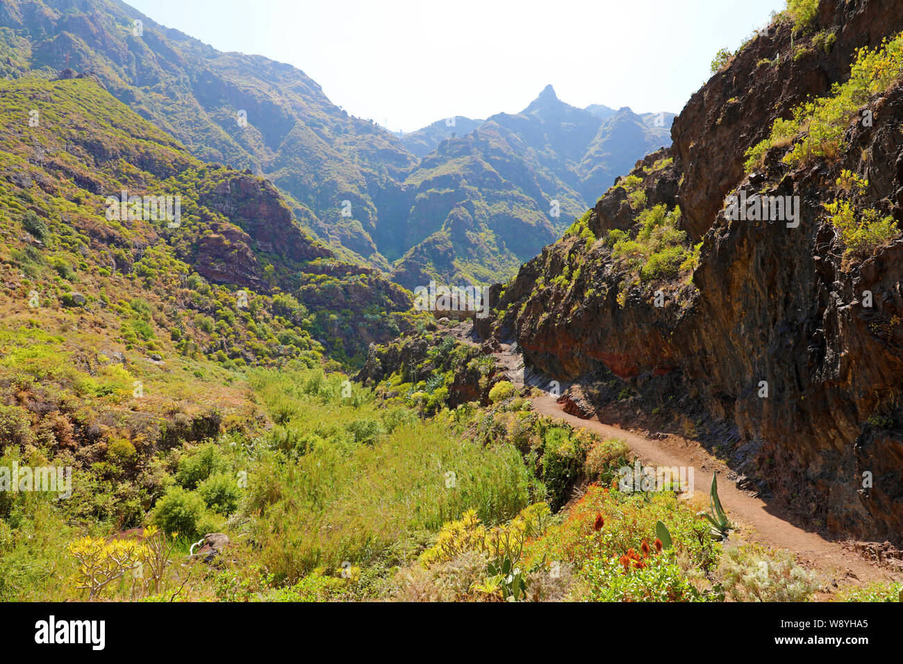 Anaga Rural Park wild landscape in Tenerife Island, Canary Islands ...