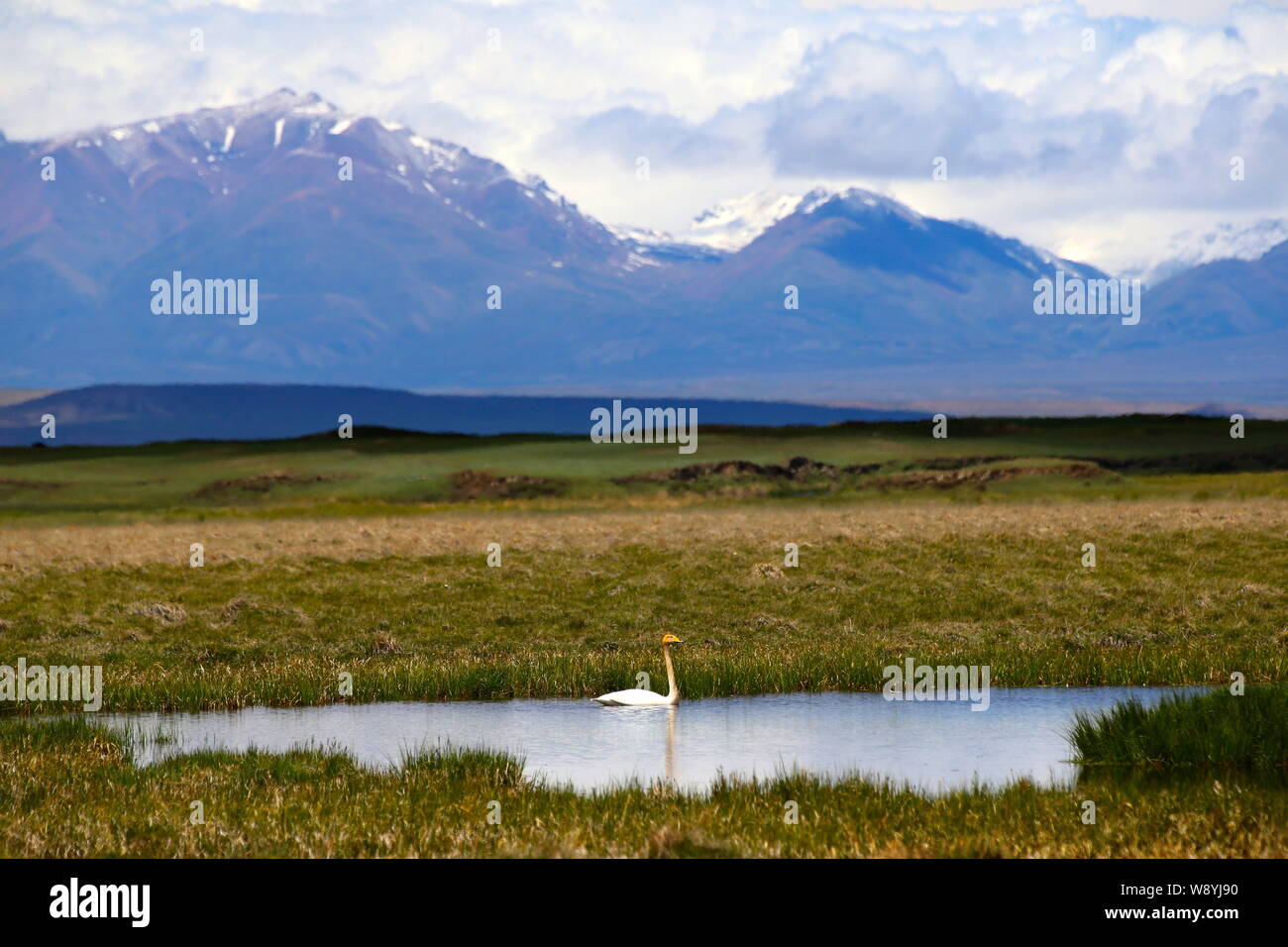 Landscape of the mountain range of Tianshan Mountains in northwest ...