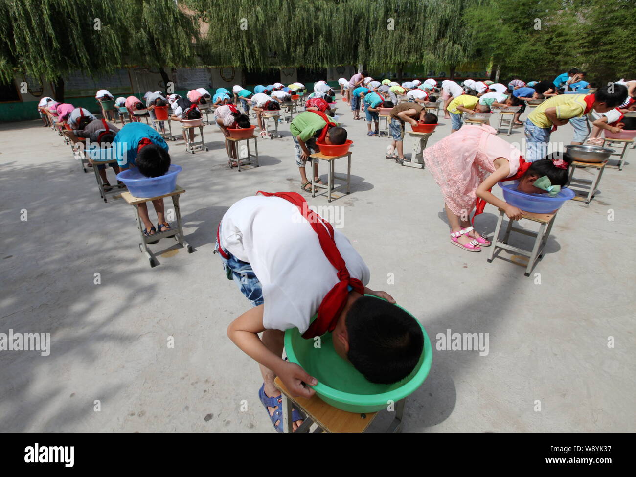 Young students put their heads in washbasins or buckets full of water ...