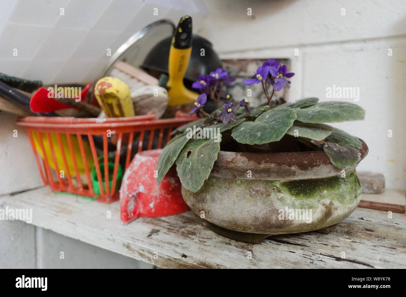 Collection of random objects hi-res stock photography and images - Alamy