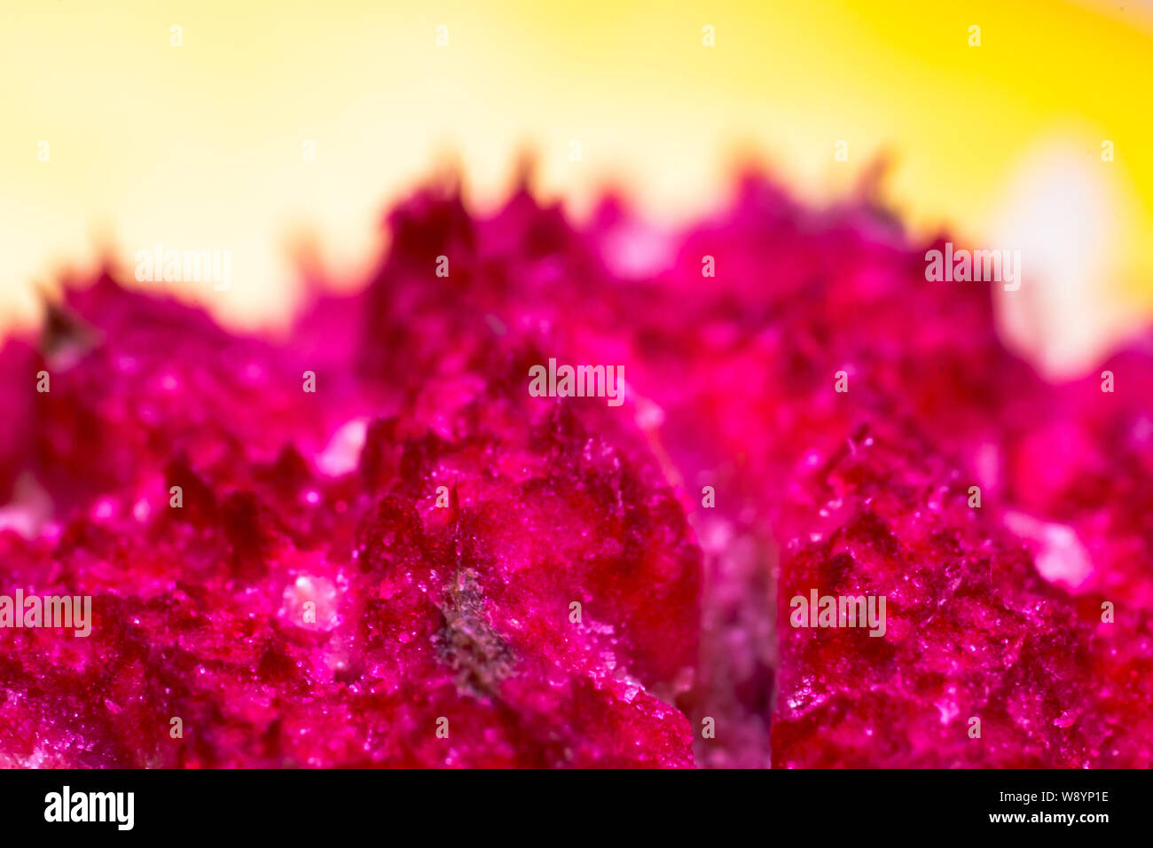 Peach stone hi-res stock photography and images - Alamy