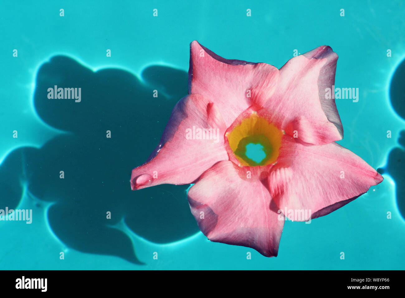 Blaue winde hi-res stock photography and images - Alamy