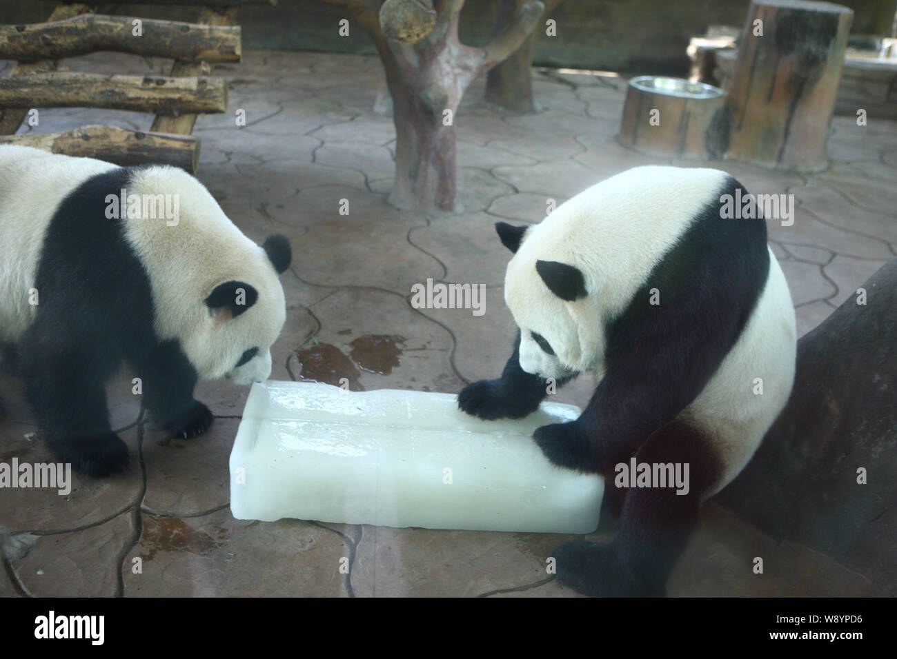 Zoo Block High Resolution Stock Photography and Images - Alamy