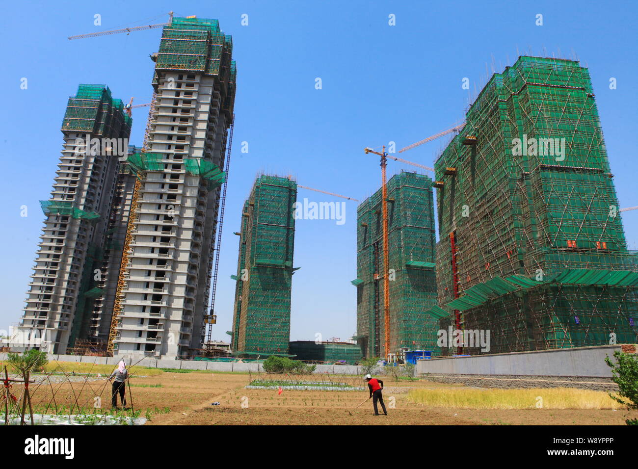 --FILE--Chinese farmers plow their fields next to high-rise residential ...