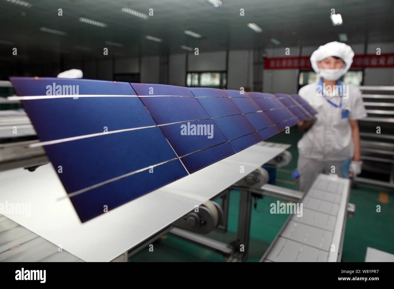 Worker cells hi-res stock photography and images - Alamy