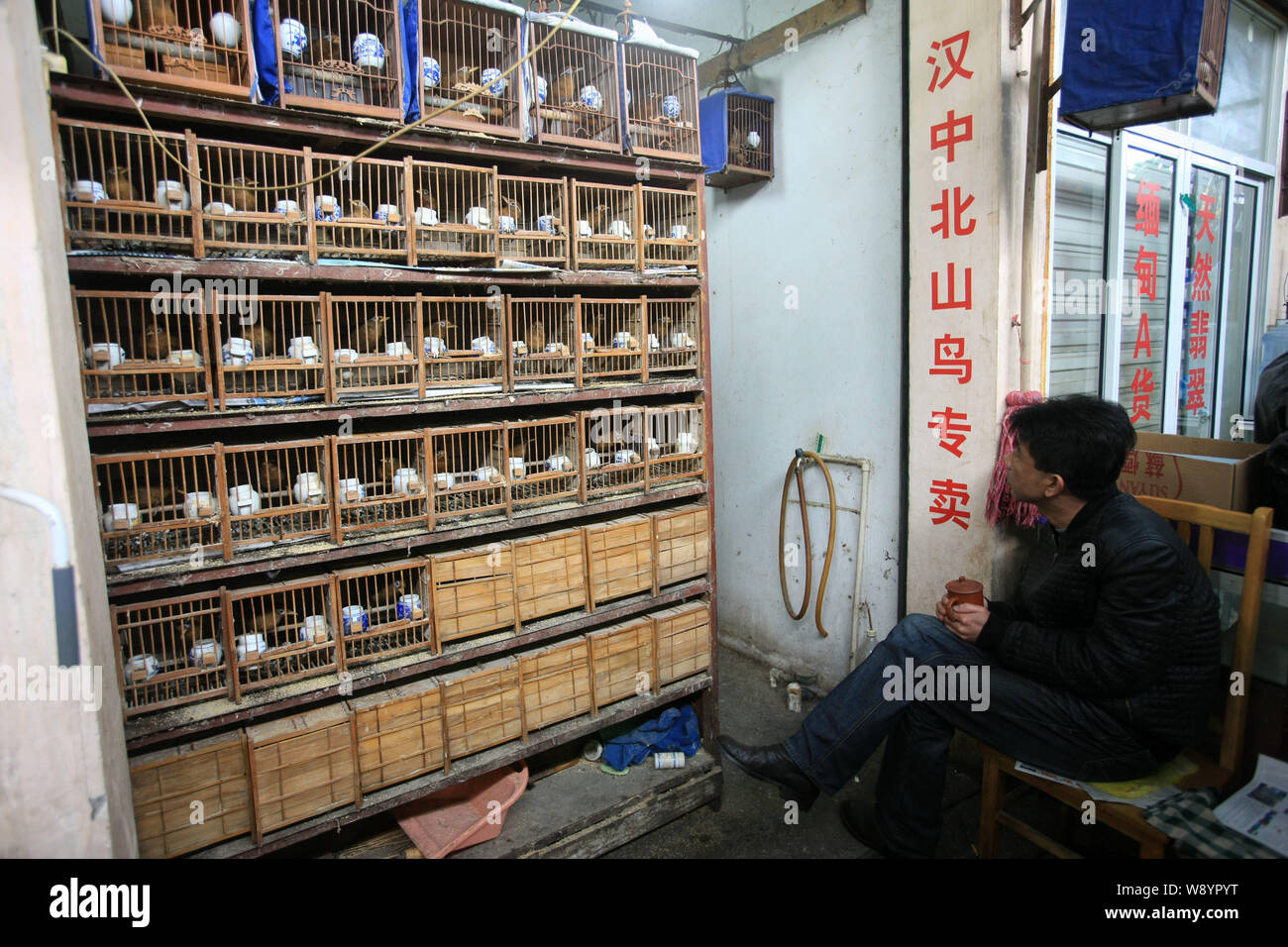 A vendor looks at his birds for sale at the Wanshang Flower and Bird ...