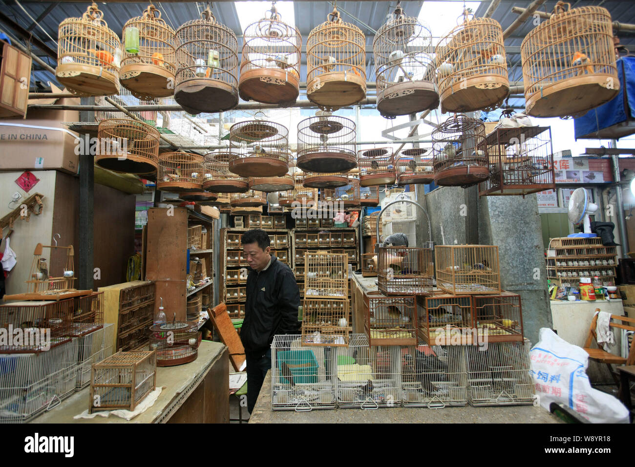A vendor stands in his bird shop at the Wanshang Flower and Bird Market ...