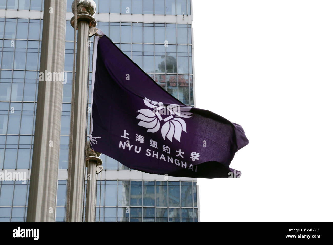 New york university flag hi-res stock photography and images - Alamy