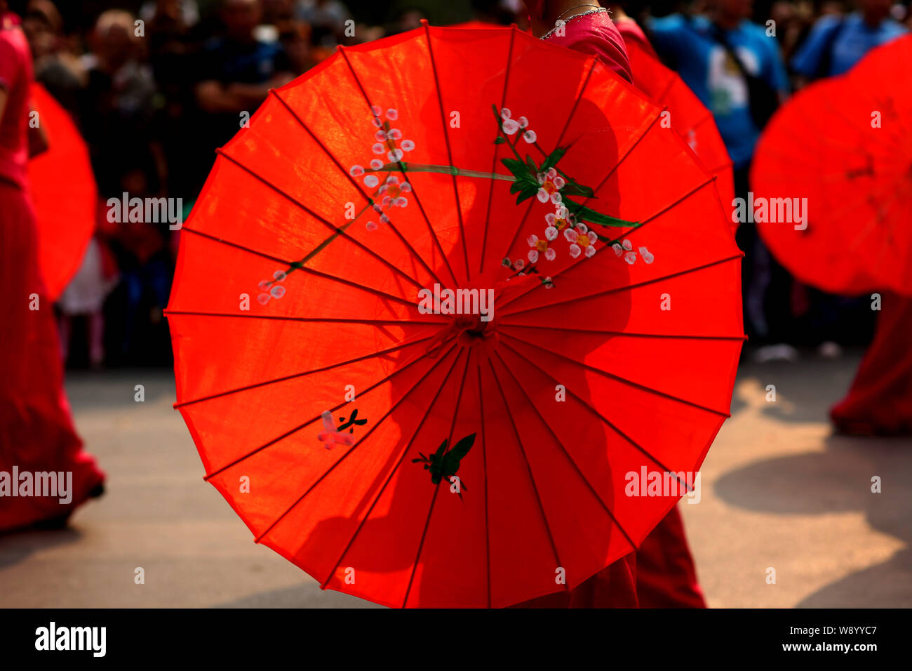 Chinese performers dressed in traditional costumes of Dai ethnic ...