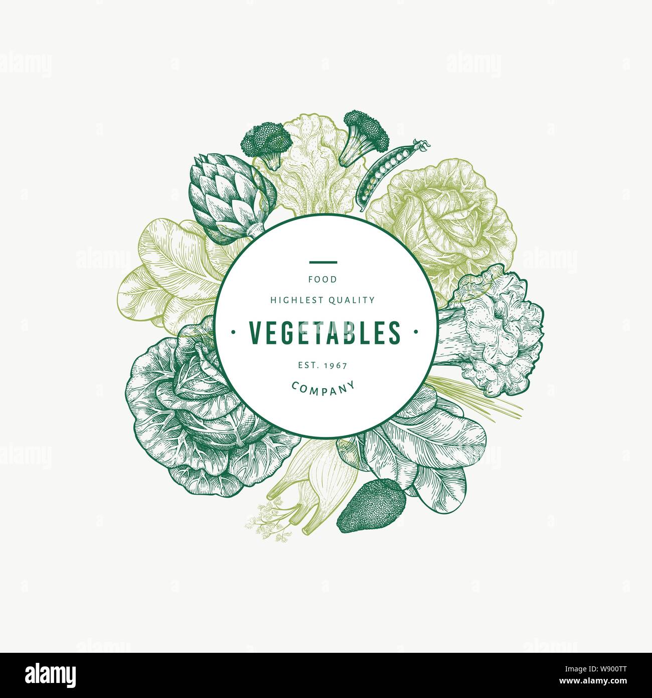 Green vegetable design template. Hand drawn vector food illustration ...