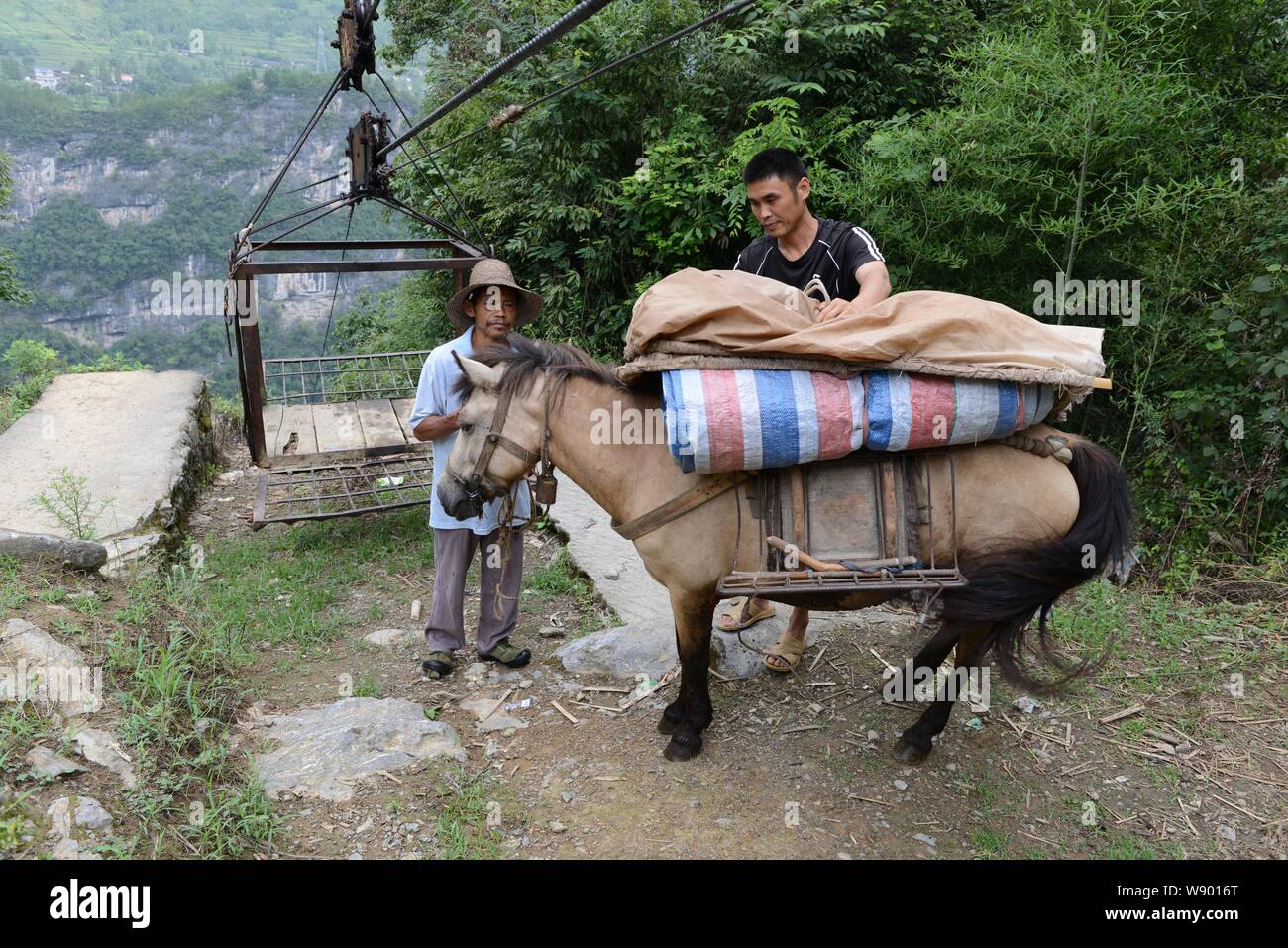 Local Chinese villagers prepare a donkey to ride an iron cage installed ...