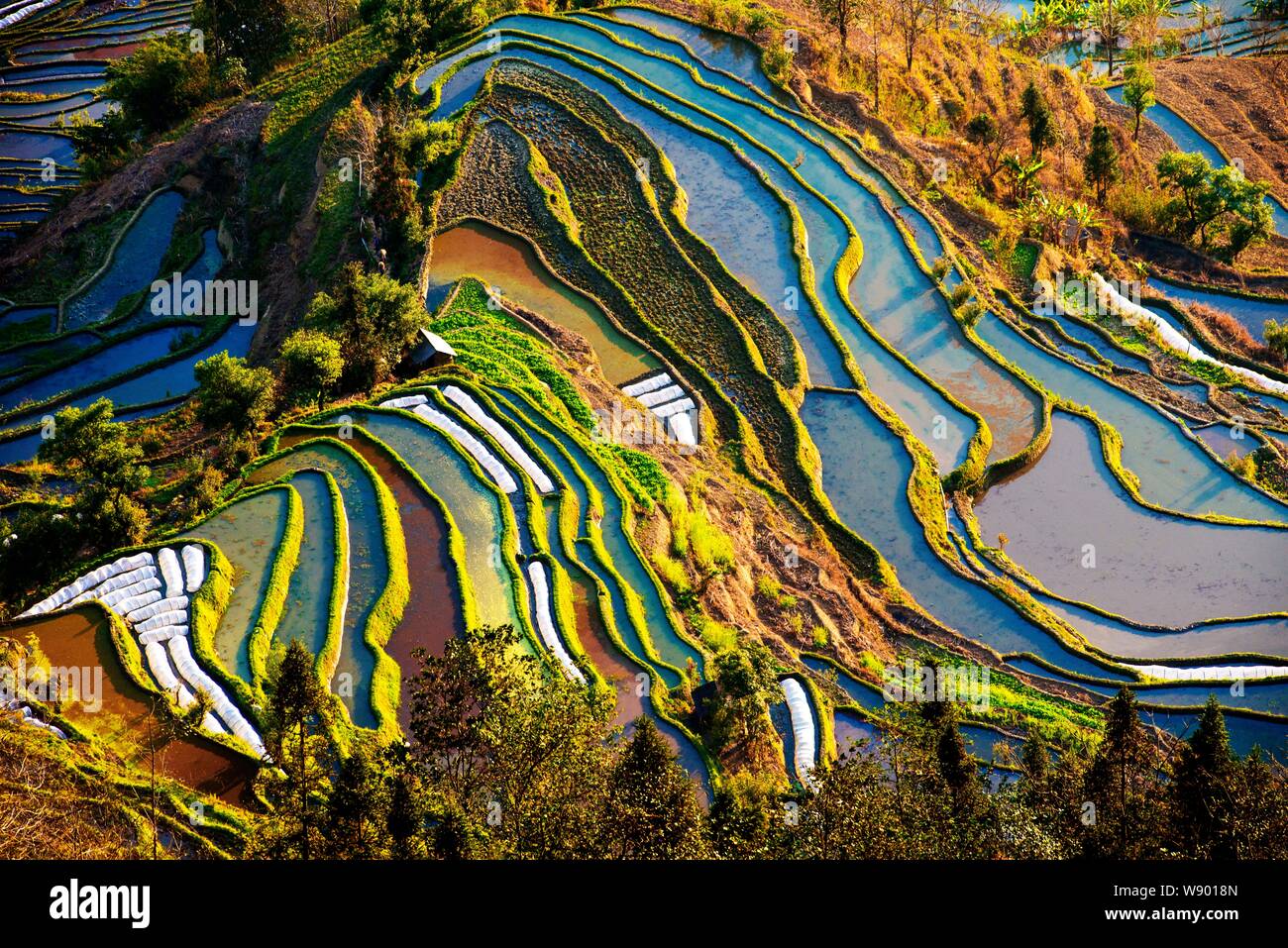 --FILE--Landscape of Yuanyang rice terraces in Yuanyang County, Honghe ...