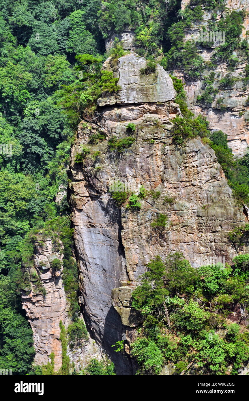 Landscape of Zhangjiajie National Forest Park in the Wulingyuan Scenic ...