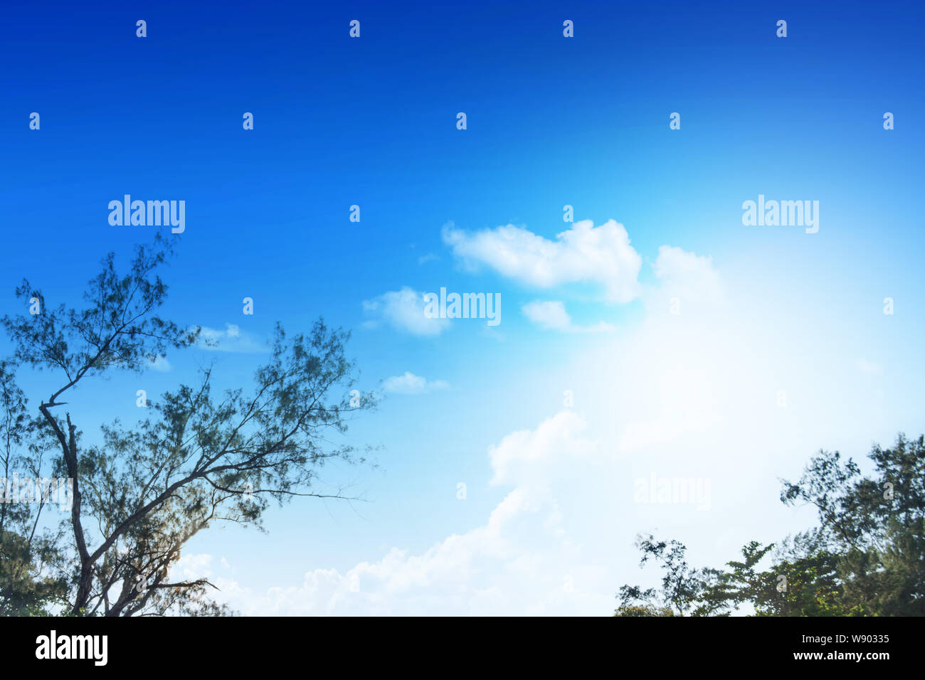 Branch of trees and clouds over blue sky background Stock Photo - Alamy