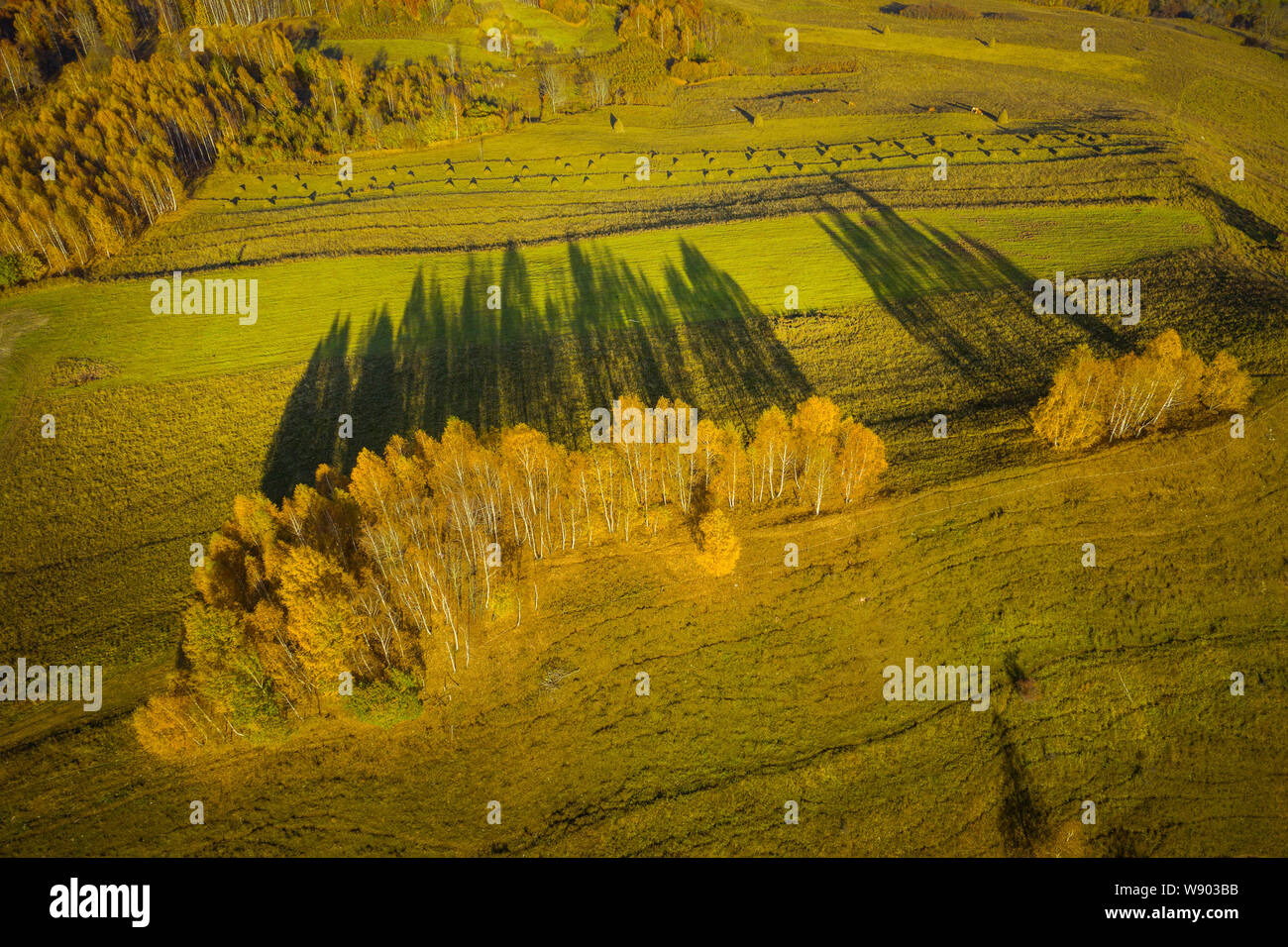 Aerial nature shot hi-res stock photography and images - Alamy