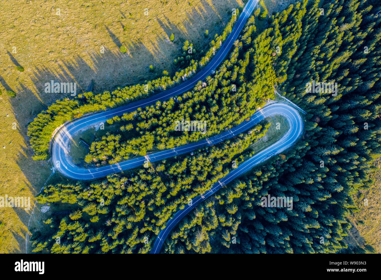 Aerial top view of forest road from a drone Stock Photo - Alamy