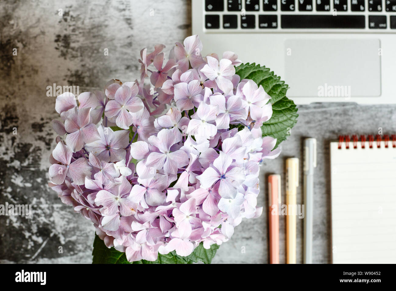 Home office desk workspace with laptop, hydrangea flowers bouquet ...