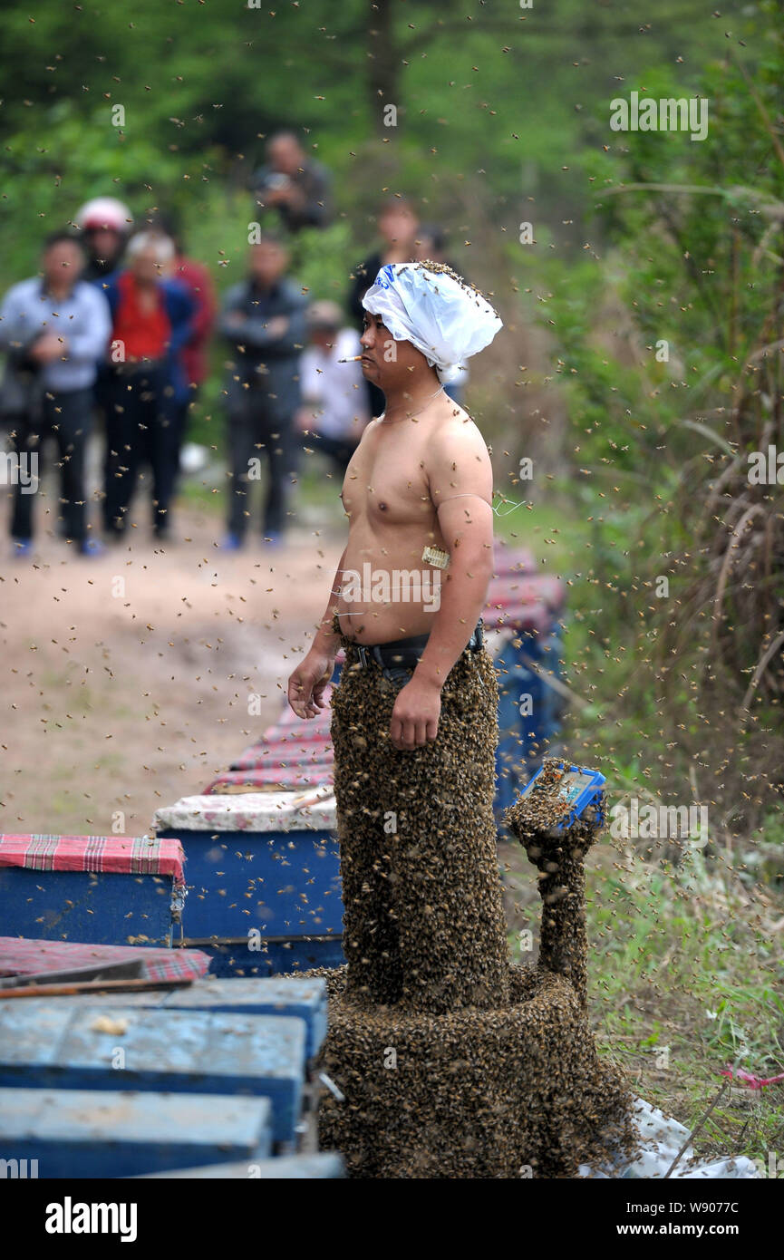 34-year-old Chinese beekeeper She Ping smokes as bees cover his body ...