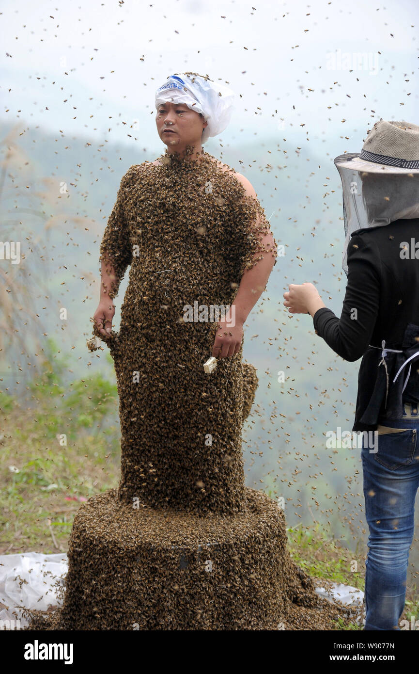 34-year-old Chinese beekeeper She Ping is almost covered with bees all ...