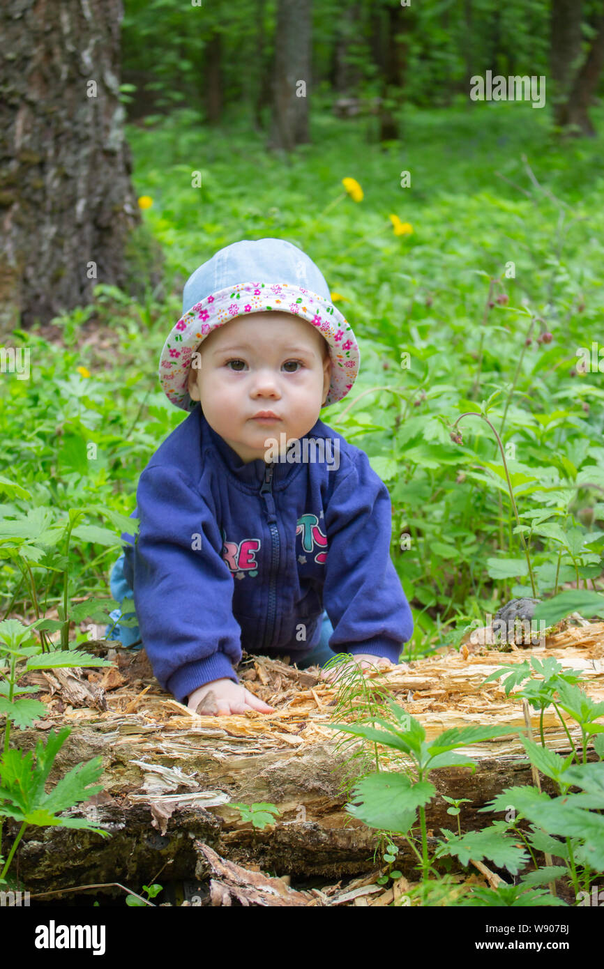 A cute baby girl 9 months, walks through the forest and studies a ...