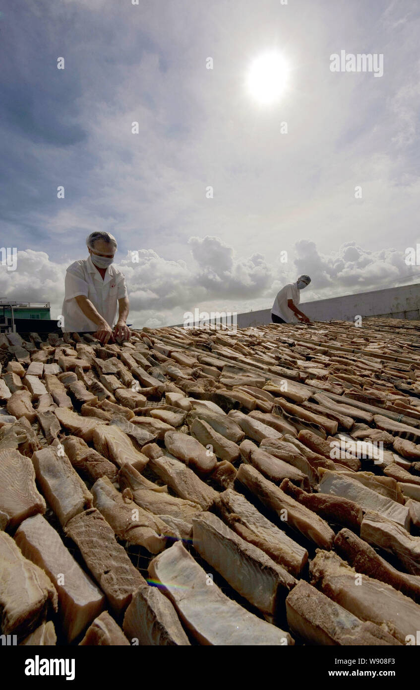 --FILE--Chinese workers put salted shark meat under the sun for drying ...