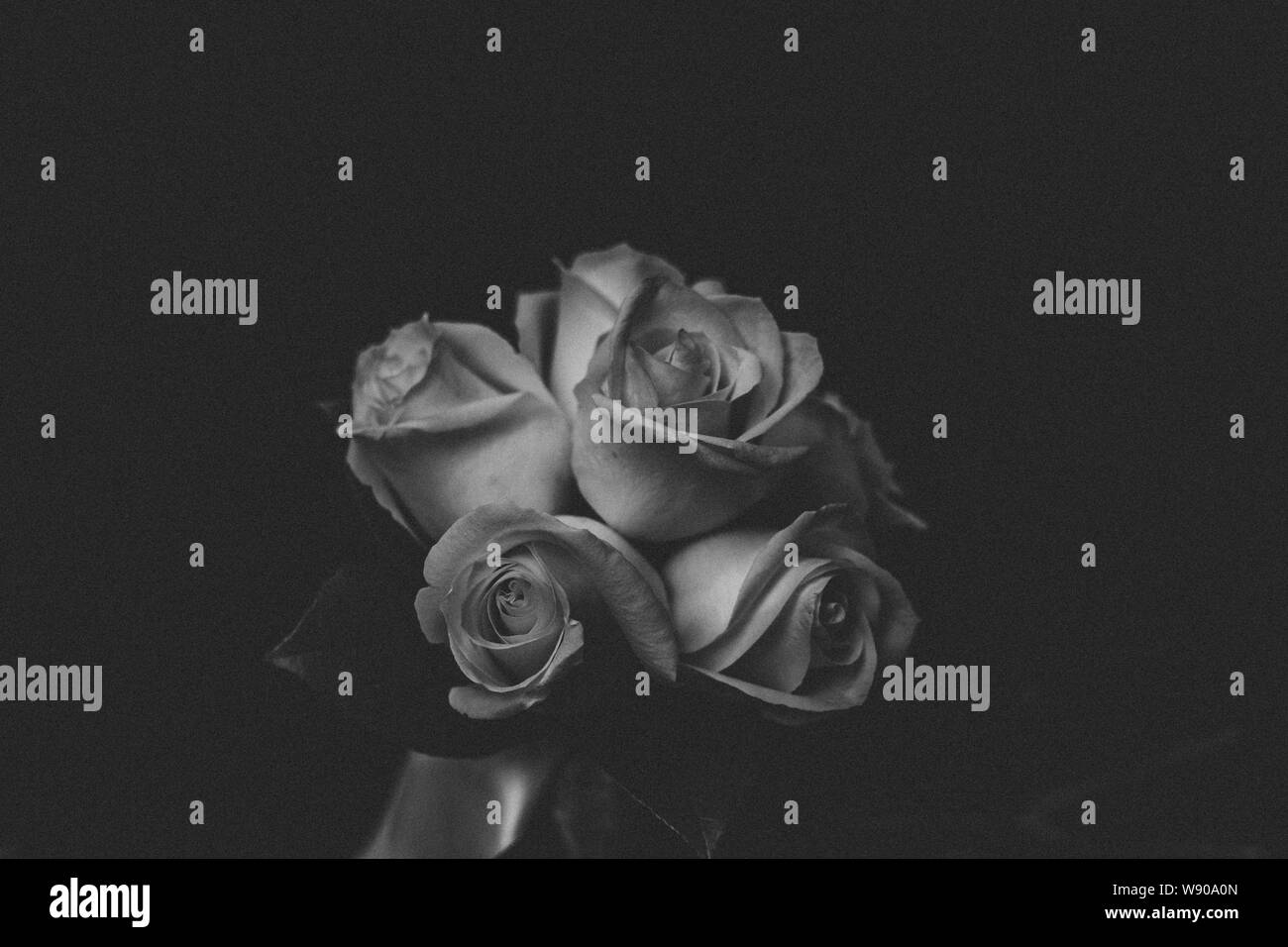 Grayscale shot of rose flower bouquet Stock Photo - Alamy