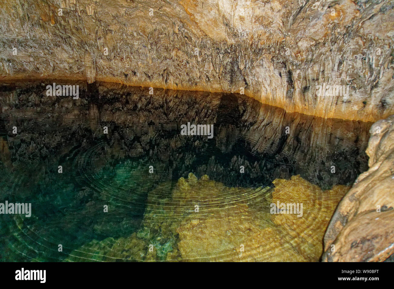 Anahulu cave, the underground swimming pool, Tonga island geological ...