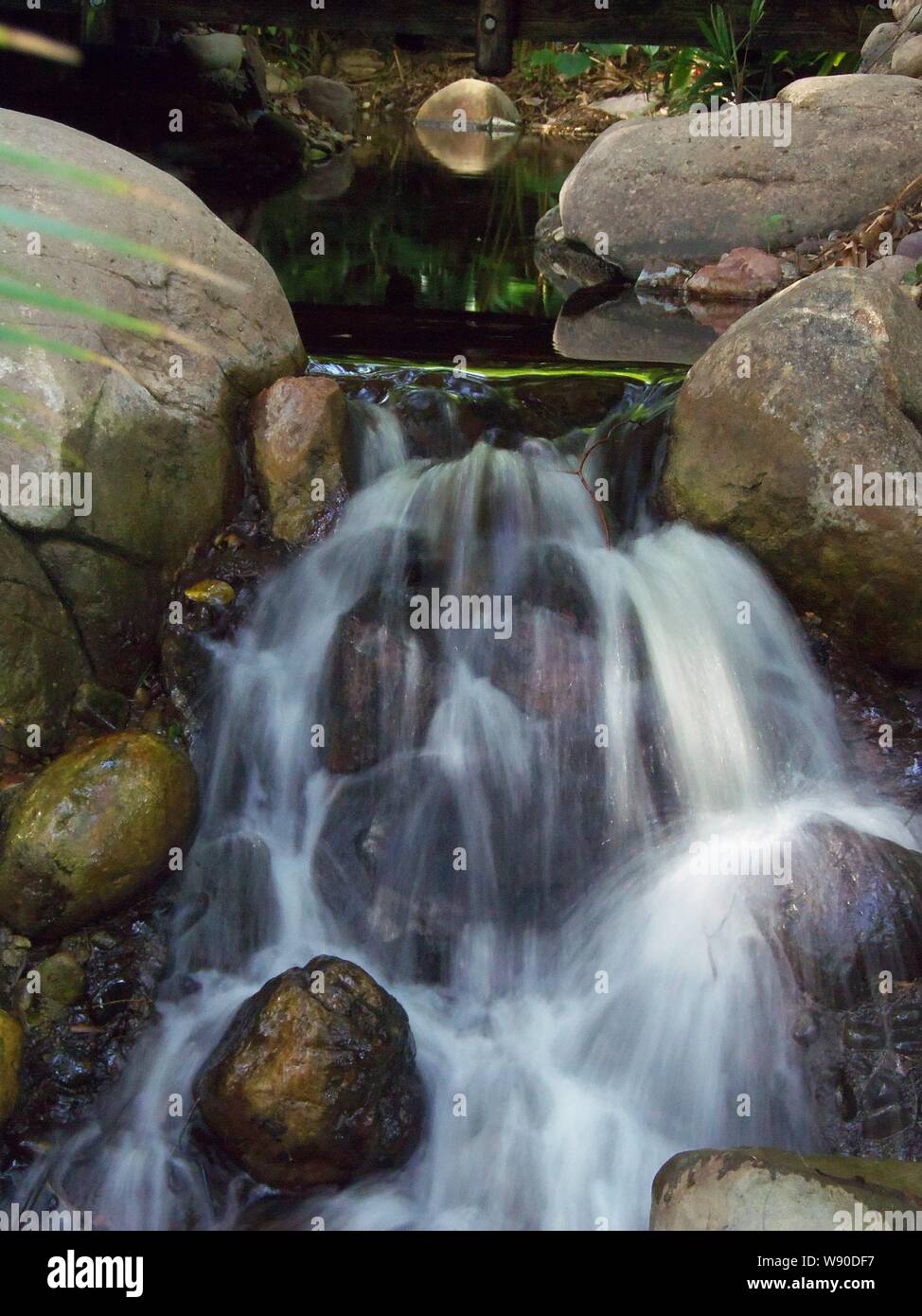 I created this Florida Photograph of a small stream flowing through a ...