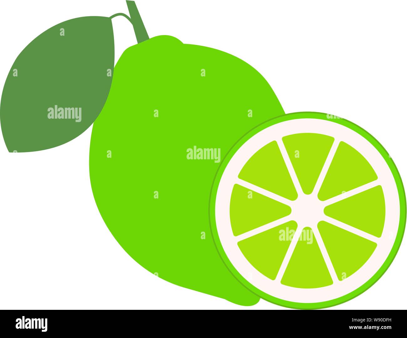 Lime with green leaves, slice citrus isolated on white background ...