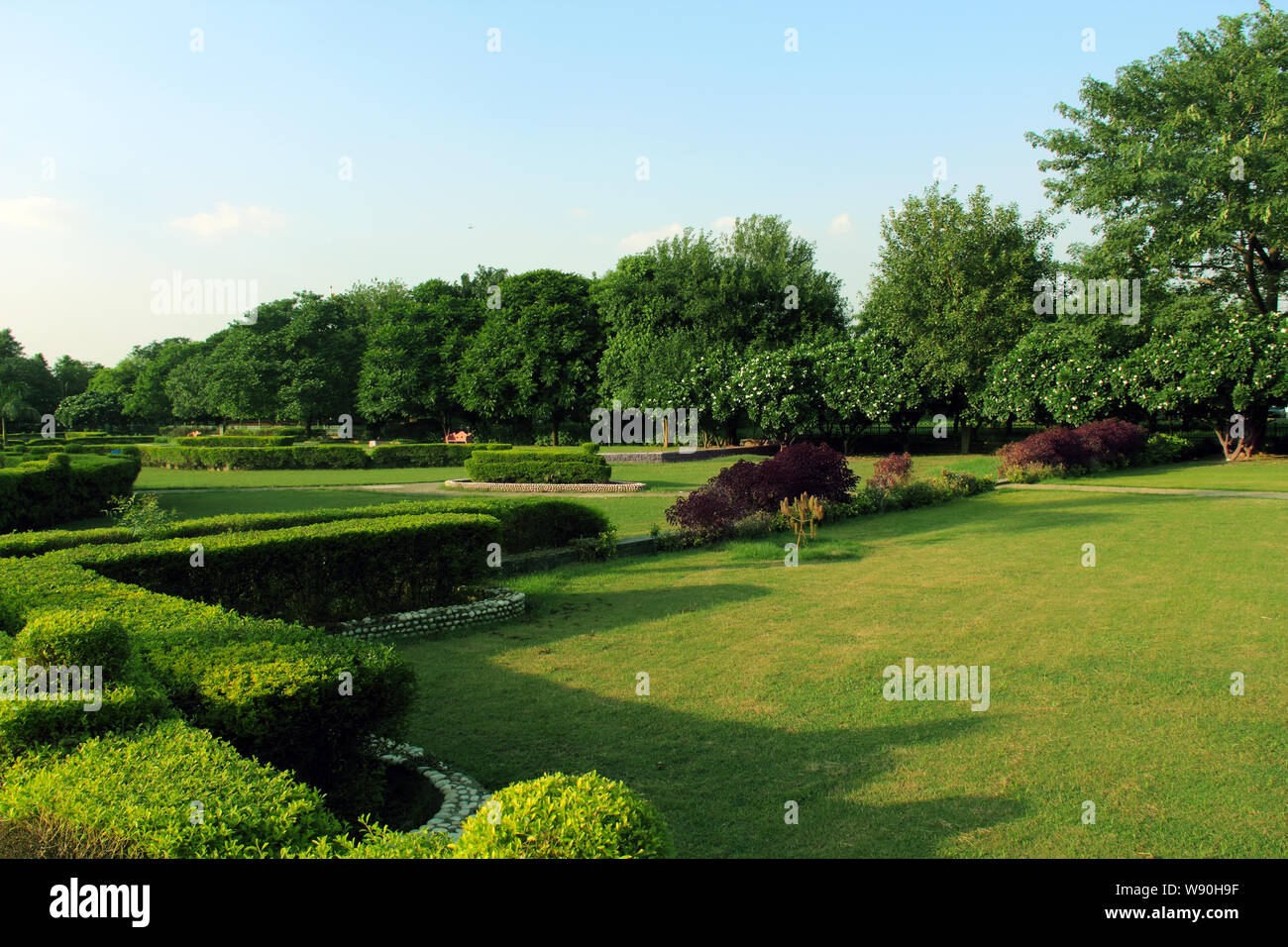 India Haryana Trees High Resolution Stock Photography and Images - Alamy