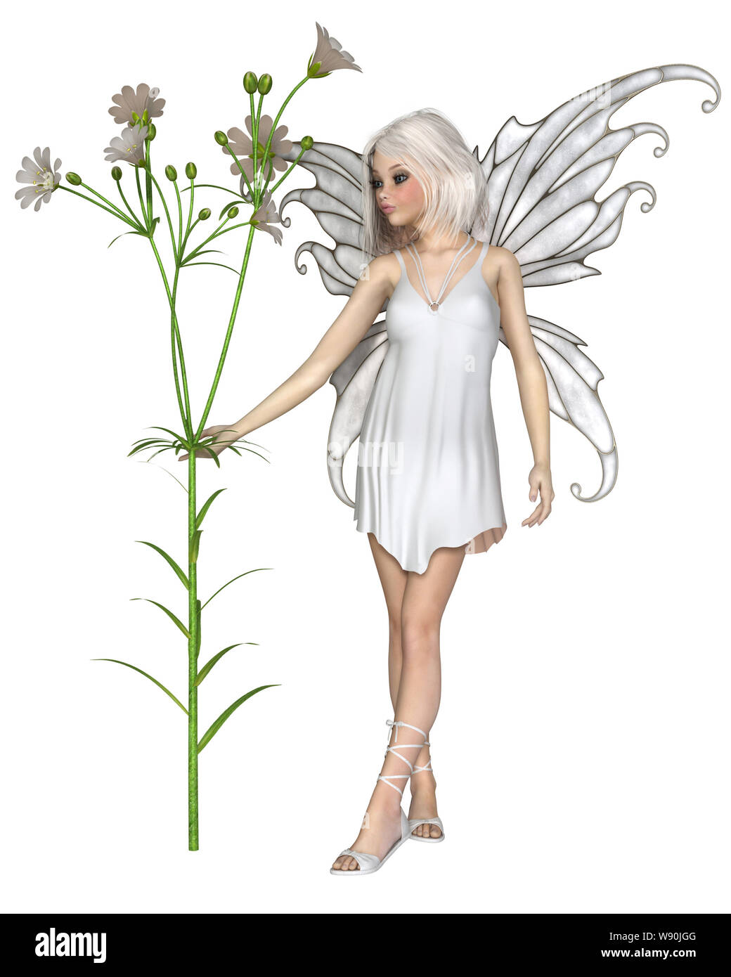 Pretty Fairies Images