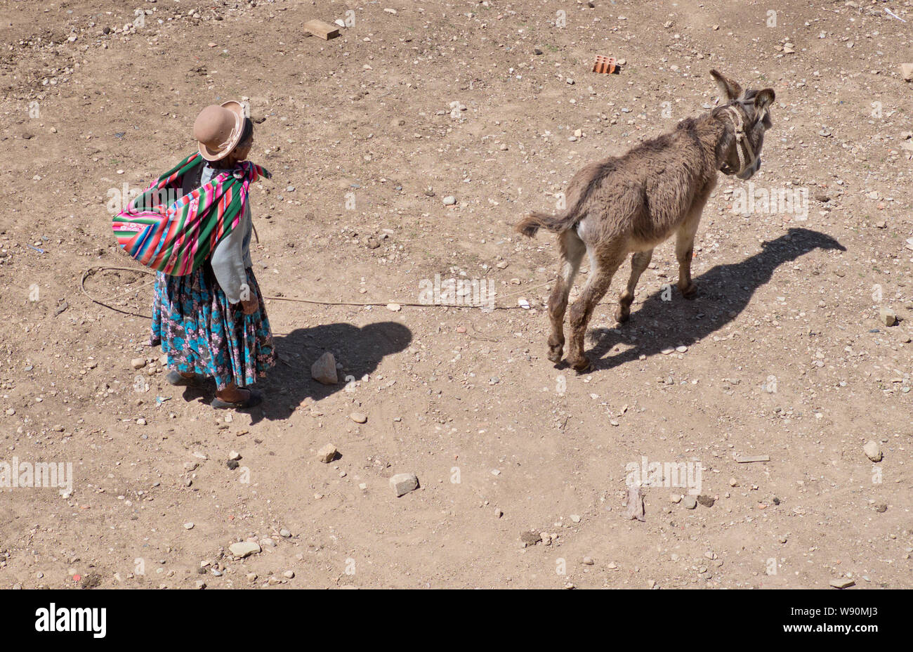 Native Aymara women with donleys on Island of the Sun on Lake Titicaca ...