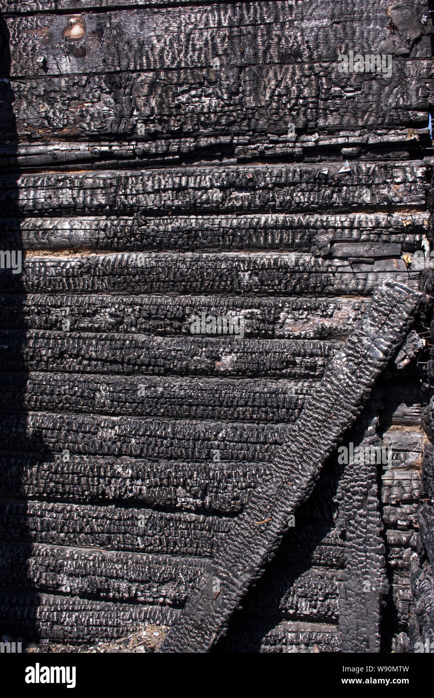 Natural fire ashes with dark grey black coals texture. It is a ...