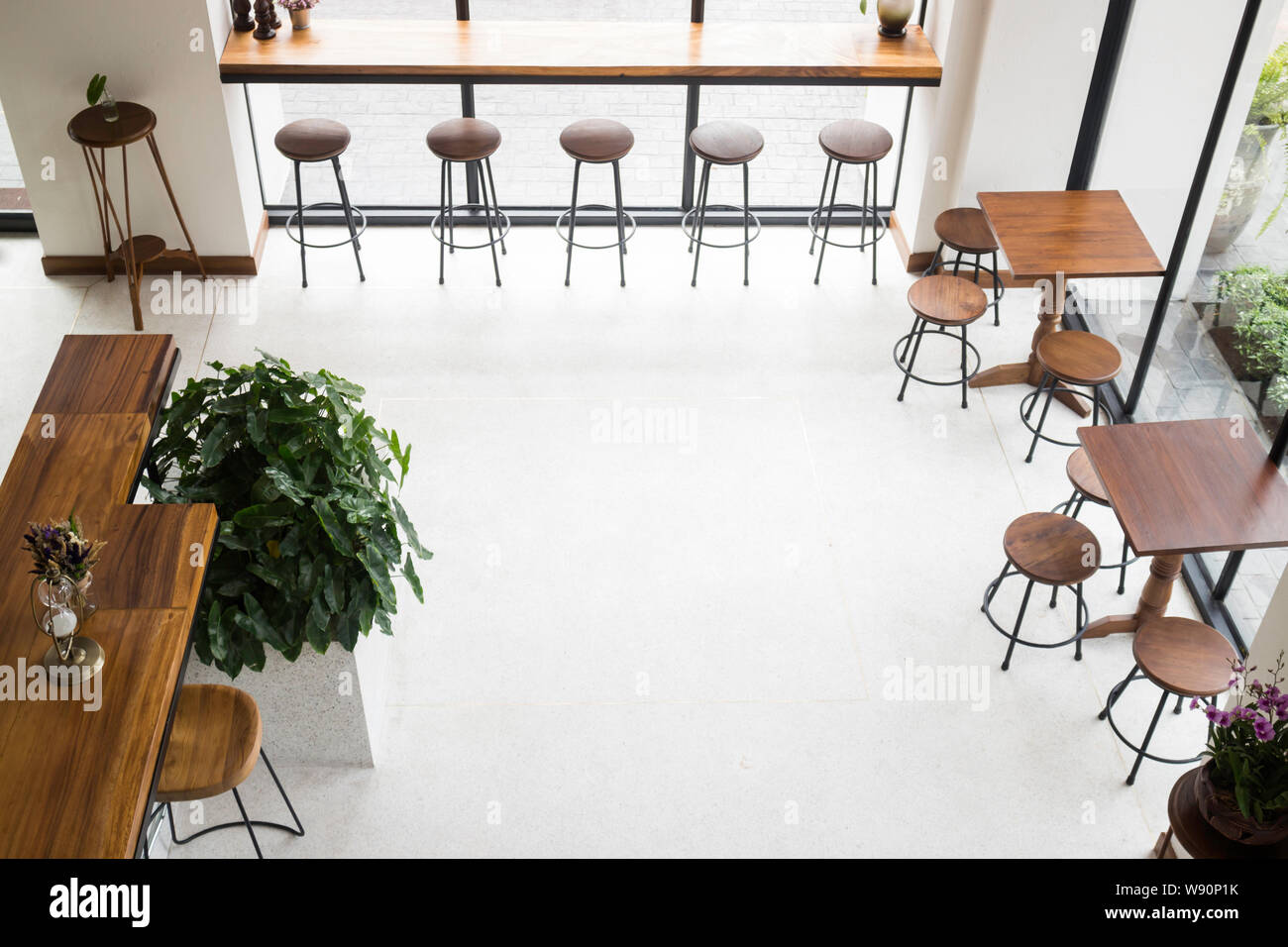 Tropical green plant pot interior, stock photo Stock Photo - Alamy