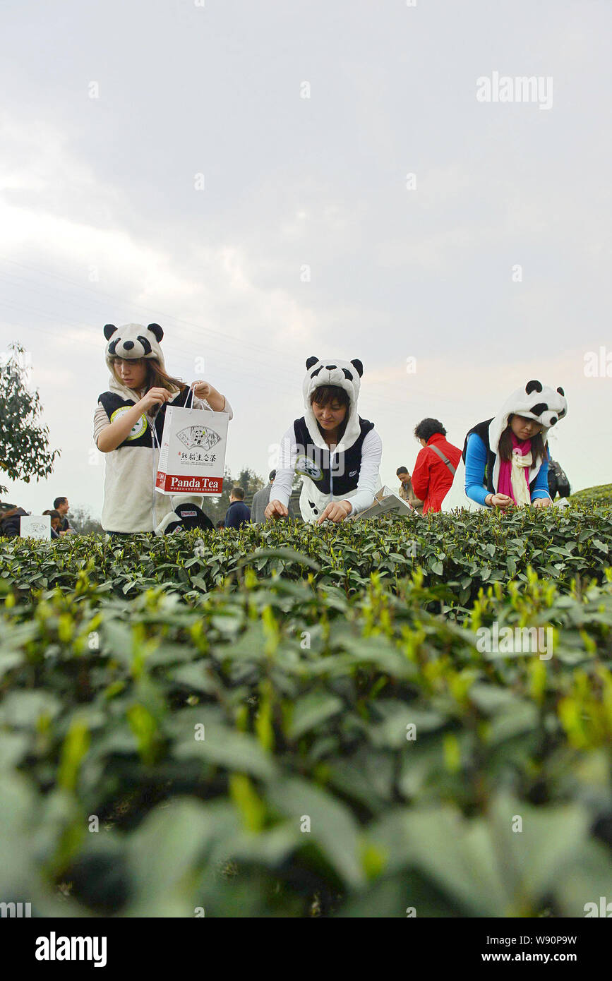 Panda poo tea hi-res stock photography and images - Alamy