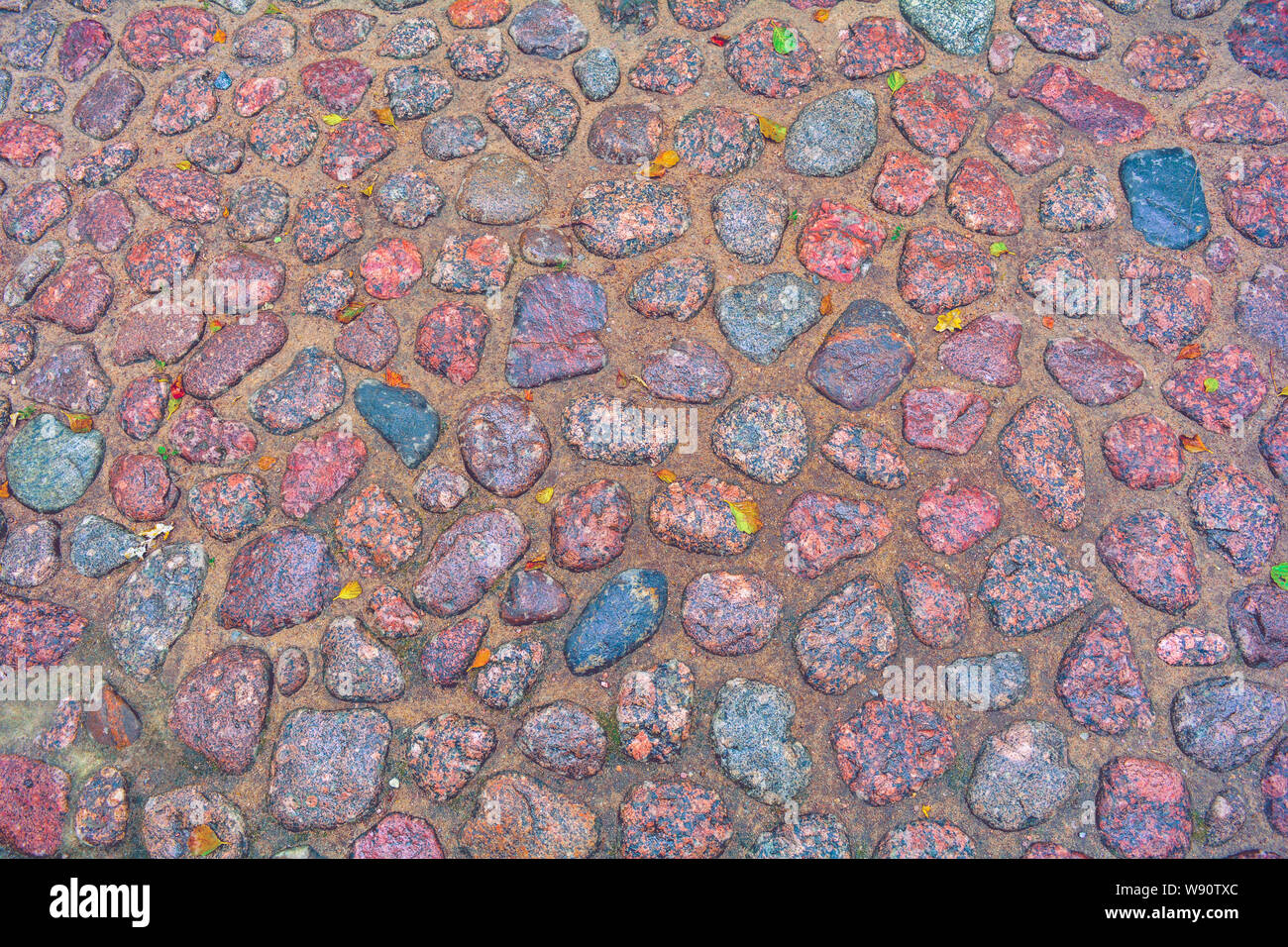 Stone background of pavement with rough wet granite boulders. Texture ...
