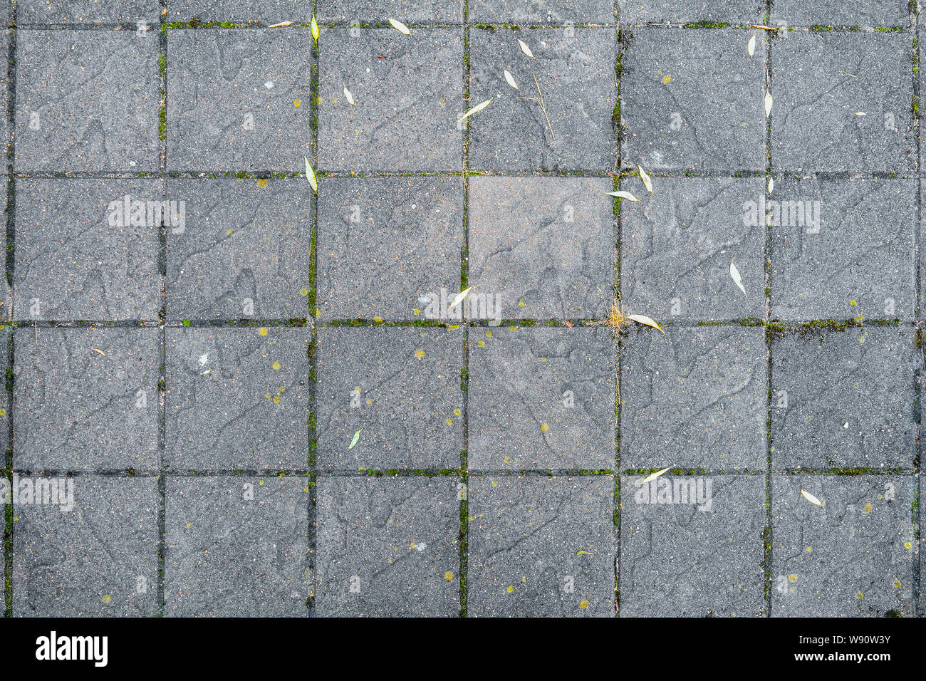 Concrete pavement background on the public pave way. Big square tiles ...
