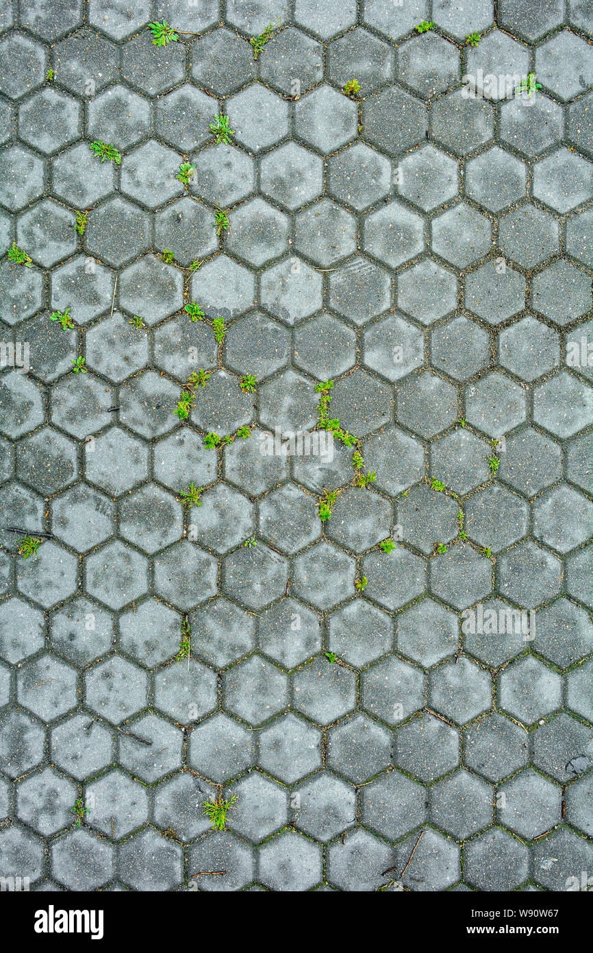 Hexagonal stone background of pavement with grass. Texture of hexagonal ...
