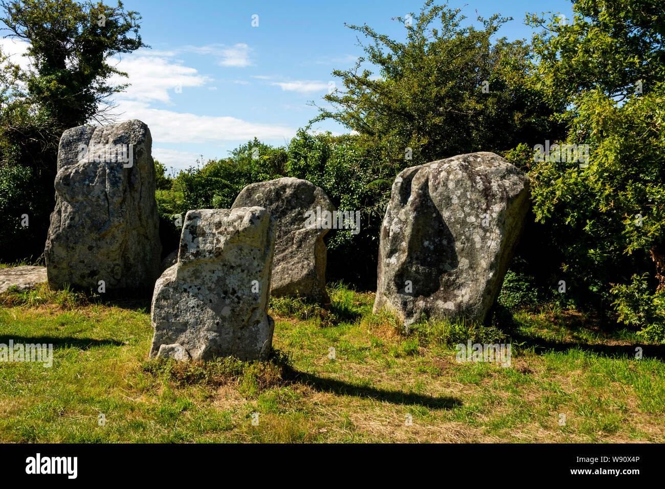 Standing stones, menhirs of Kerzerho, Erdeven, Morbihan, Bretagne ...