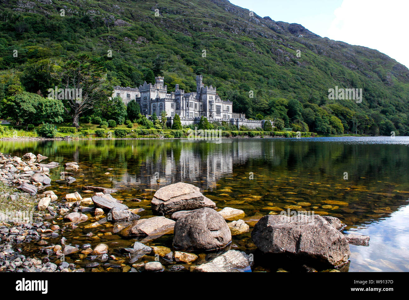 Forest sunlight ireland hi-res stock photography and images - Alamy